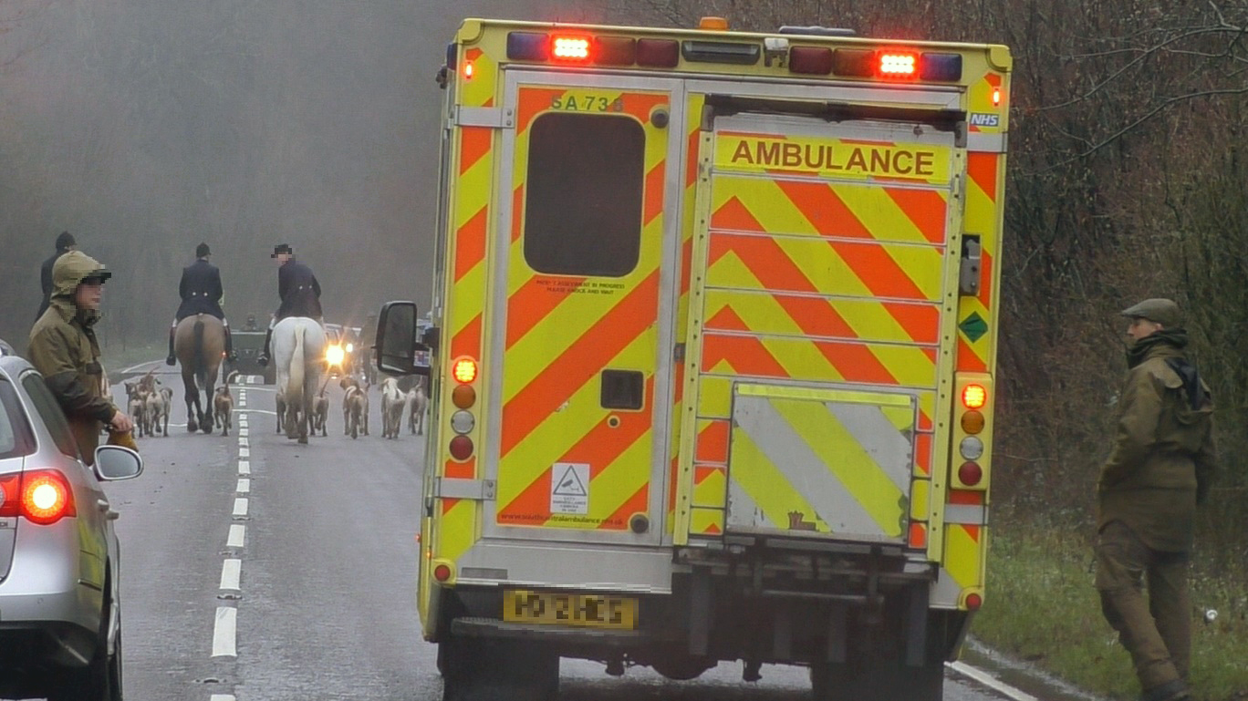 Hunt Havoc | The League