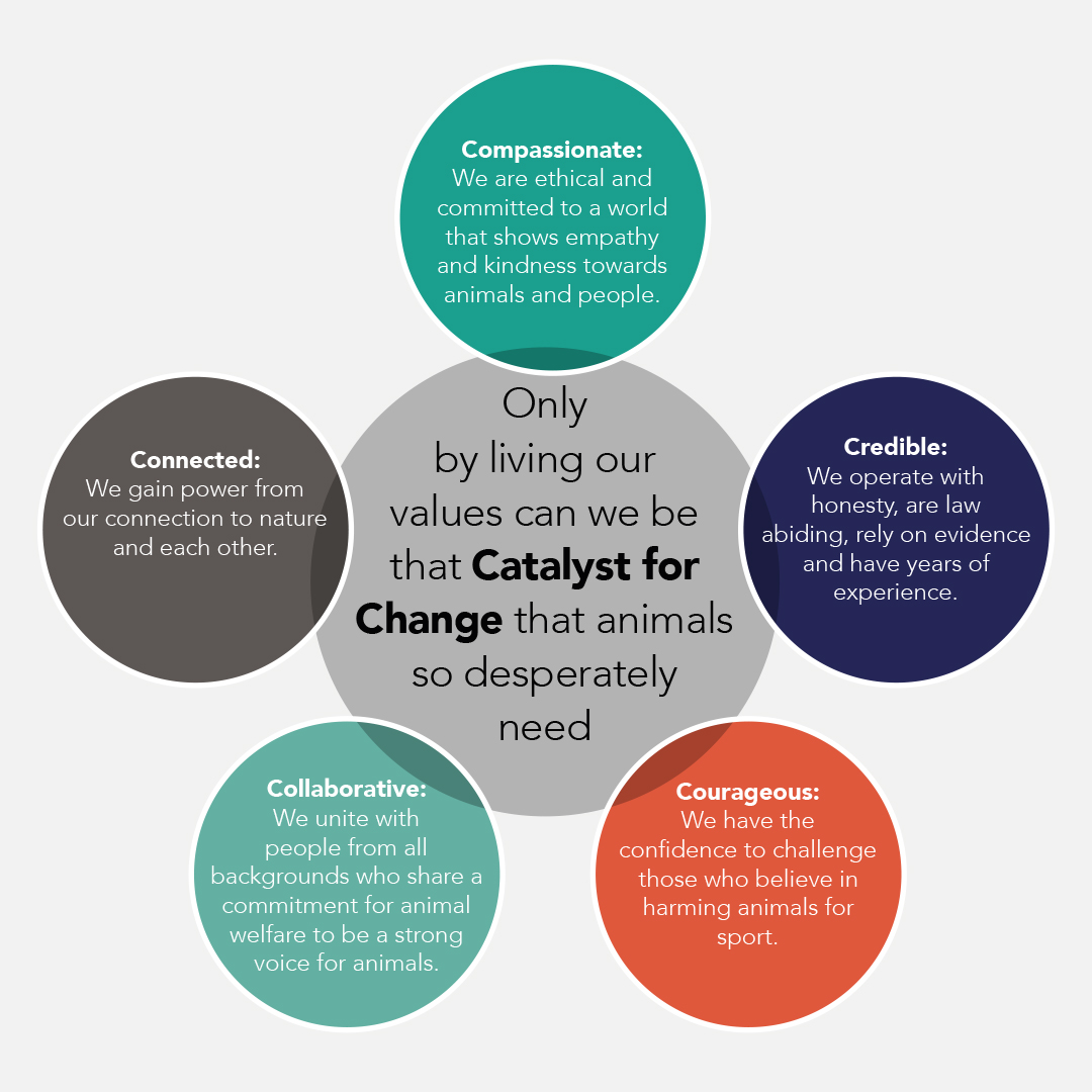 Our Values | Animal Charity Jobs | The League