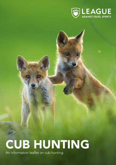 Cub Hunting | The League