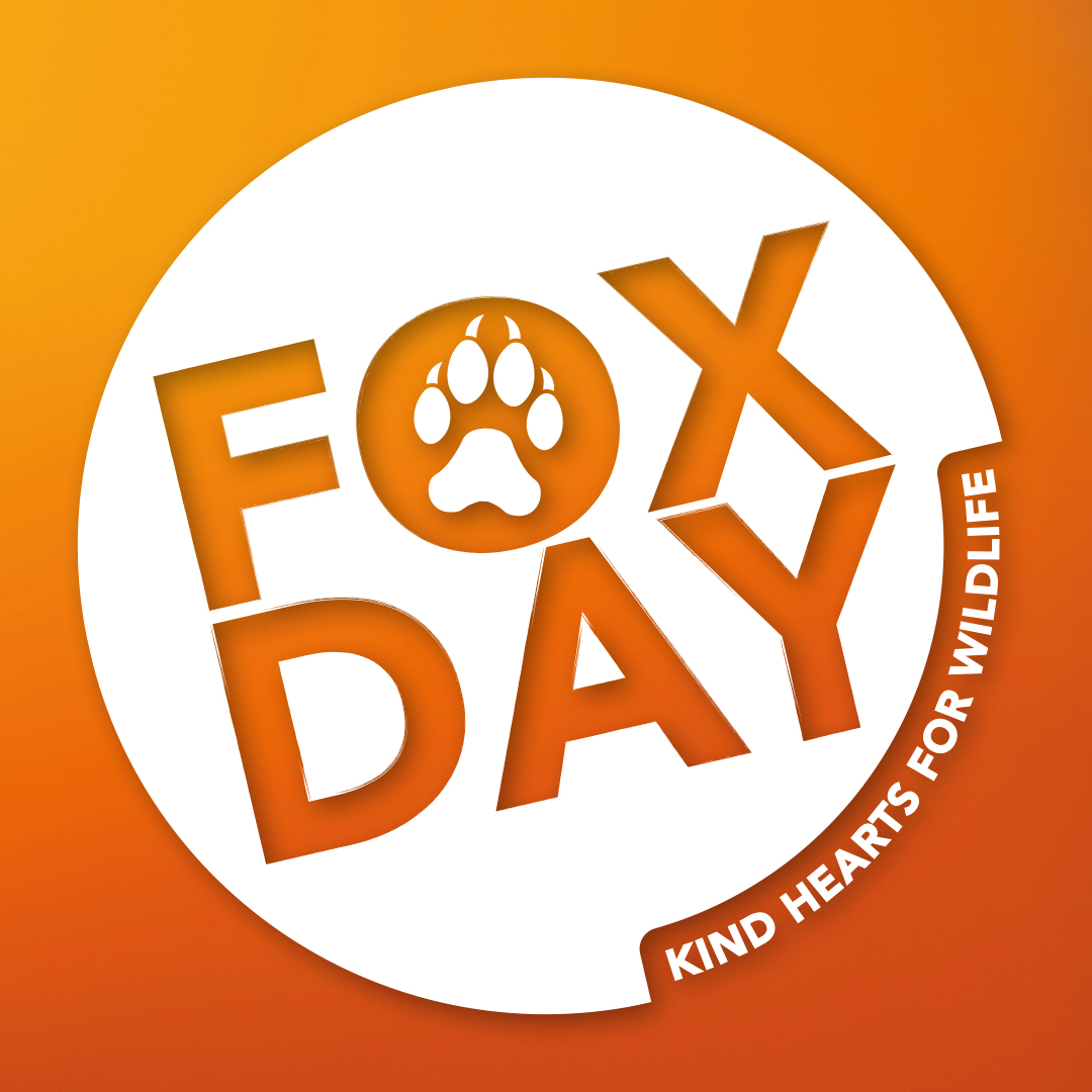 Fox Day Facts