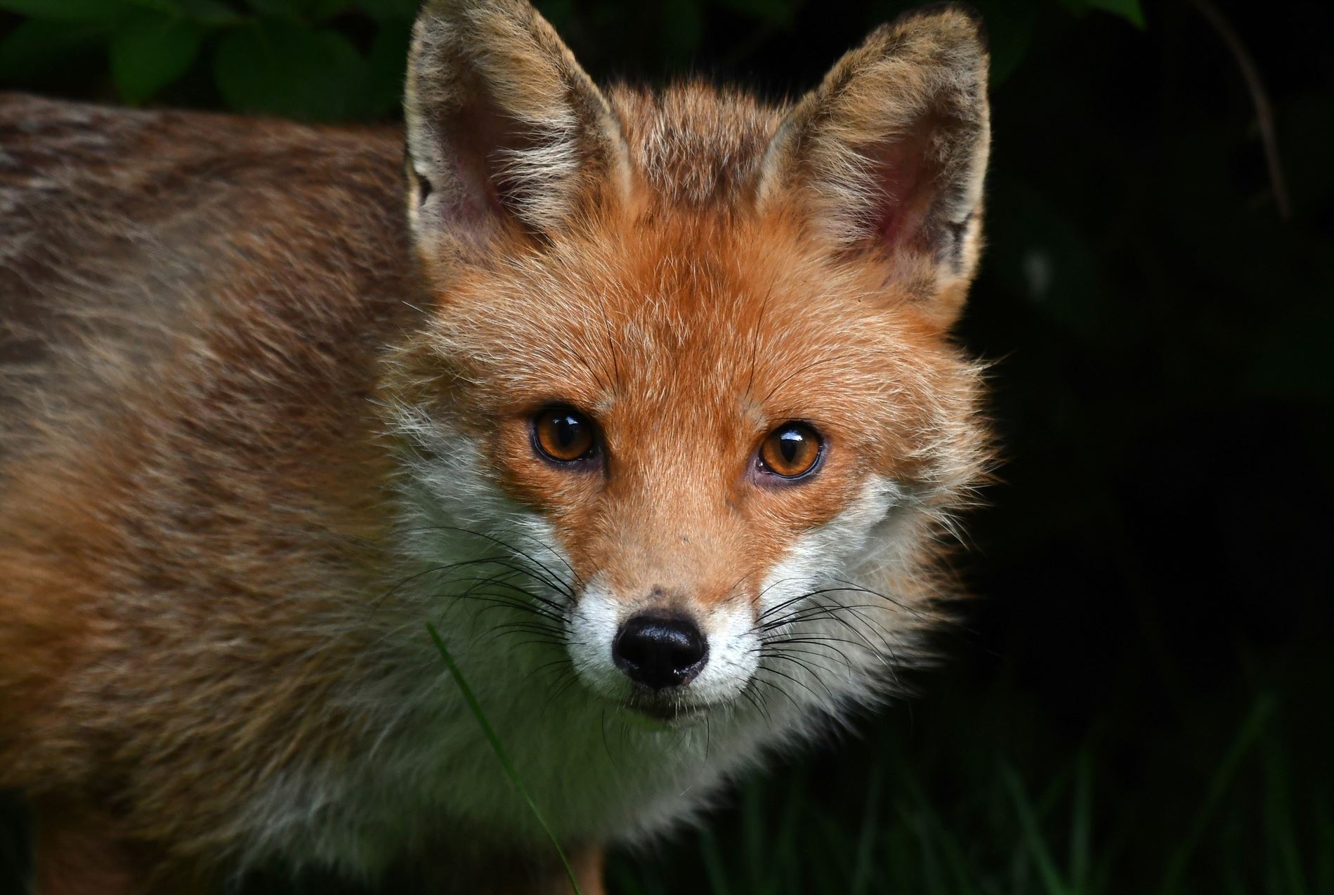 News and Resources | The League