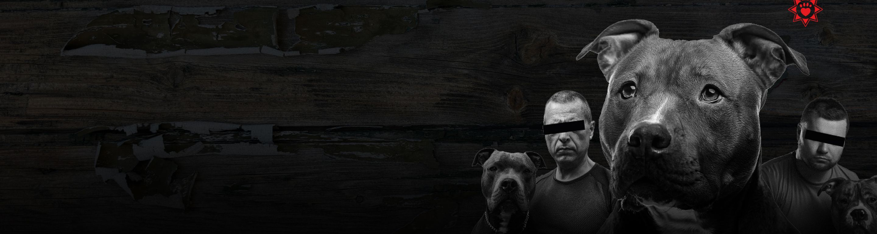 Dog Fighting Expose | The League