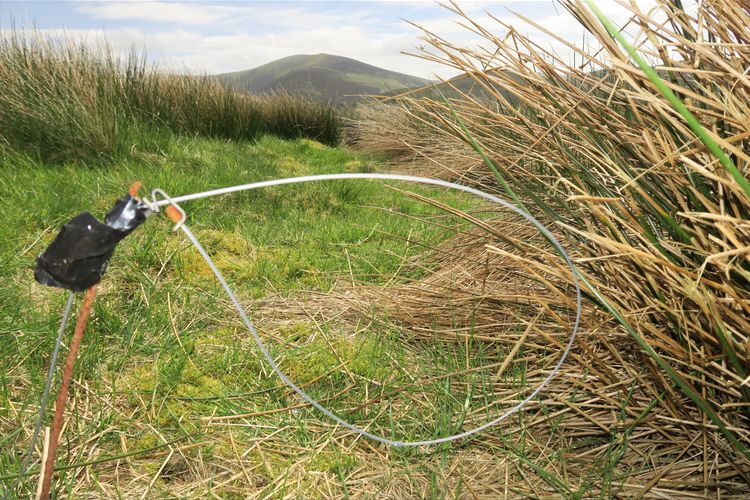 Animal charity releases footage exposing snaring