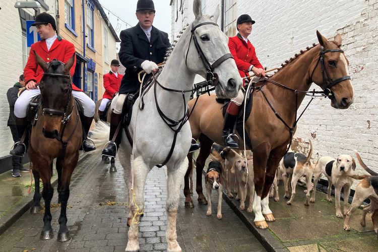Stop celebrating the brutal world of fox hunting.