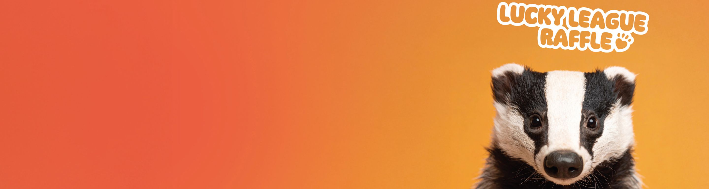 Sell Raffle Tickets. Help Animals. | The League