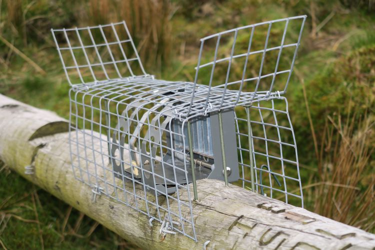 Elephant in the Room